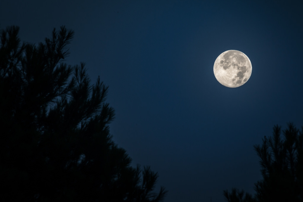 Photographing the Moon: 6 Useful Tips to Help You Capture a Unique Shot ... Photographing the Moon: 6 Useful Tips to Help You Capture a Unique Shot ...