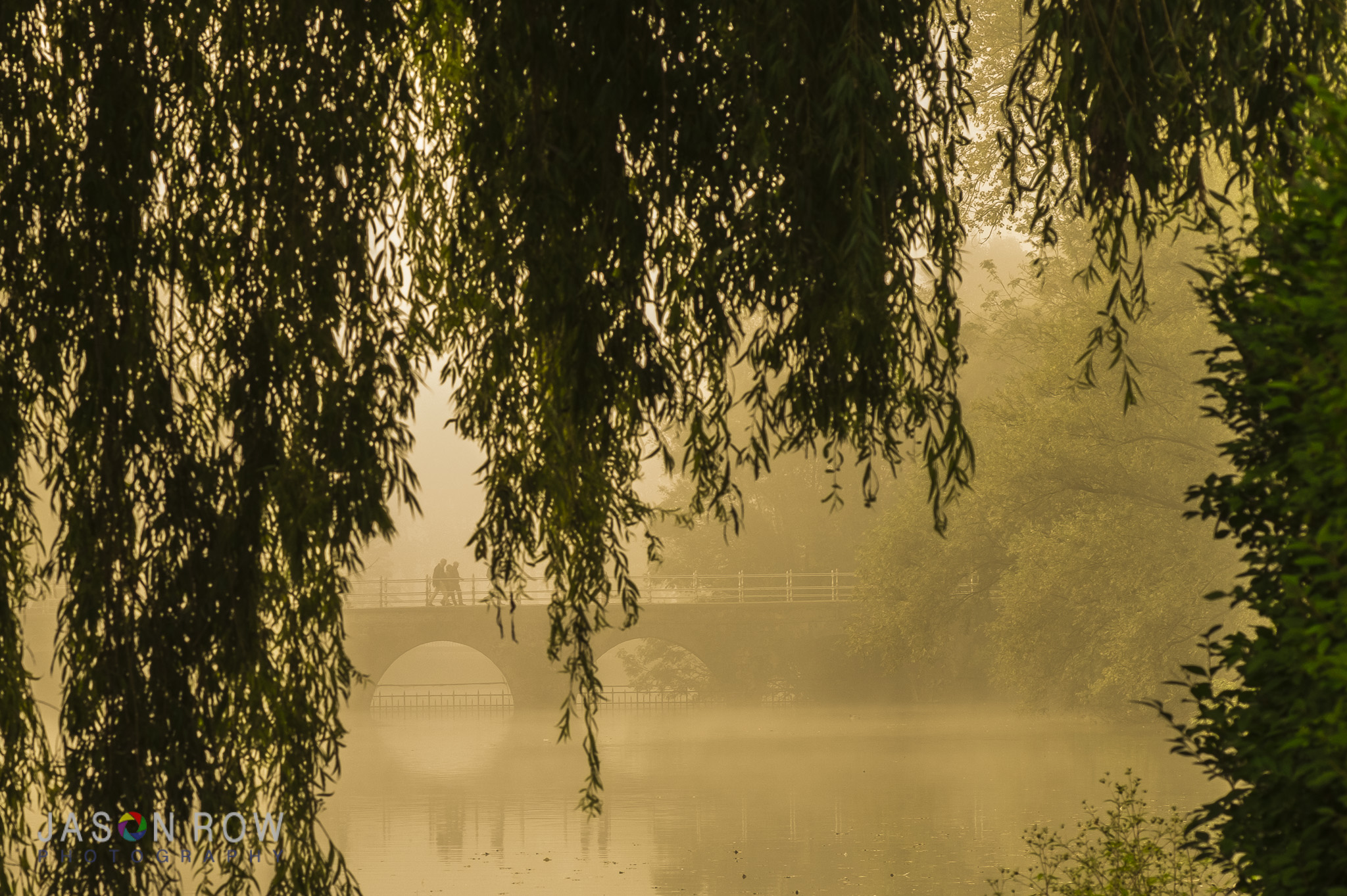 How Using Color for Contrast Can Make Your Photos Pop | Light Stalking