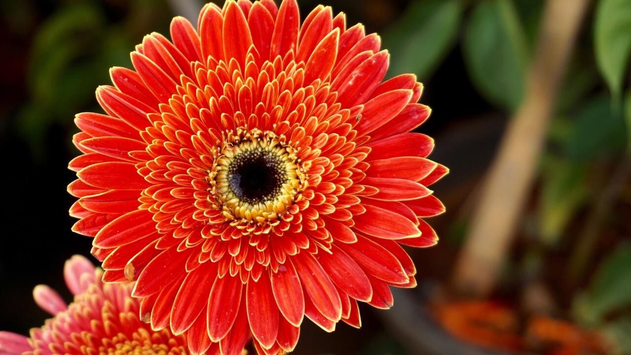 9 Totally Usable Photography Tips for Absolute Beginners