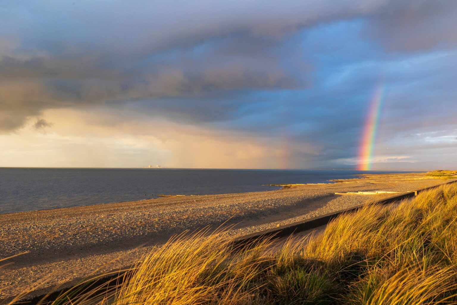 These Truly Golden Shots Were Captured During The Sunrise Or Sunset ...