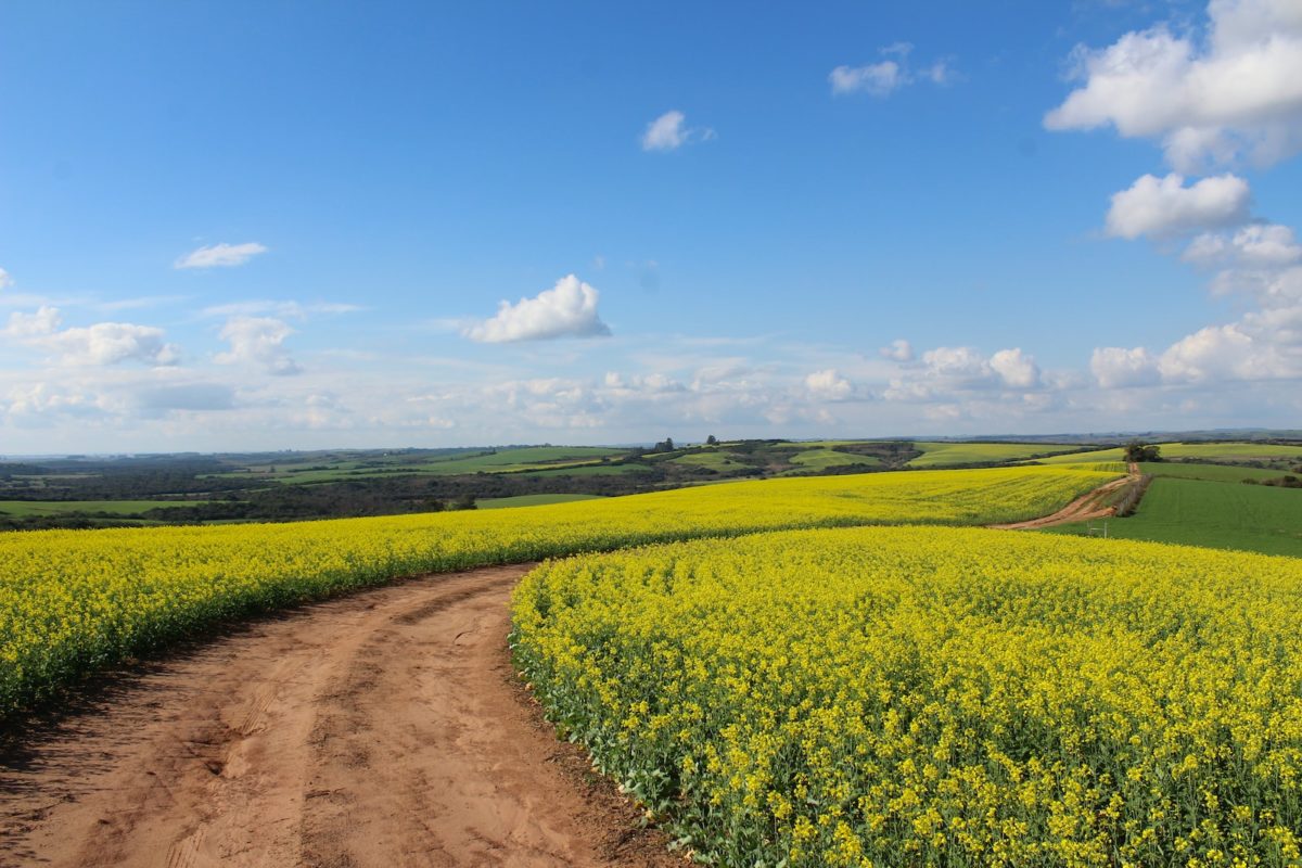 The Sunny F/16 Rule for Outdoor Photographers | Light Stalking