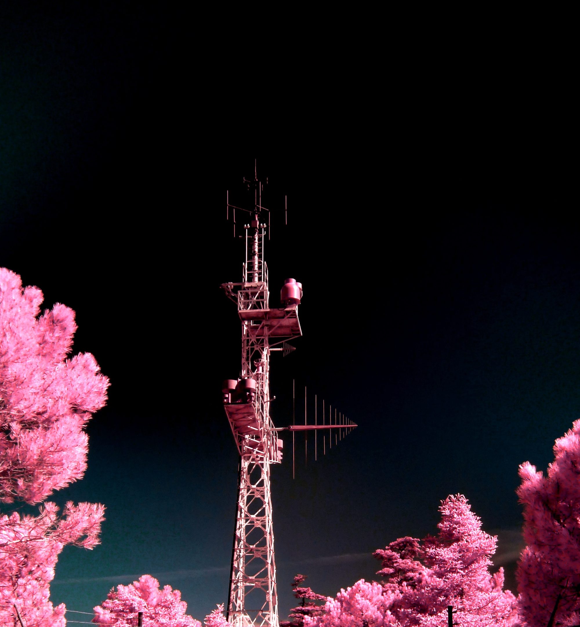 16 Remarkable Infrared Photos | Light Stalking