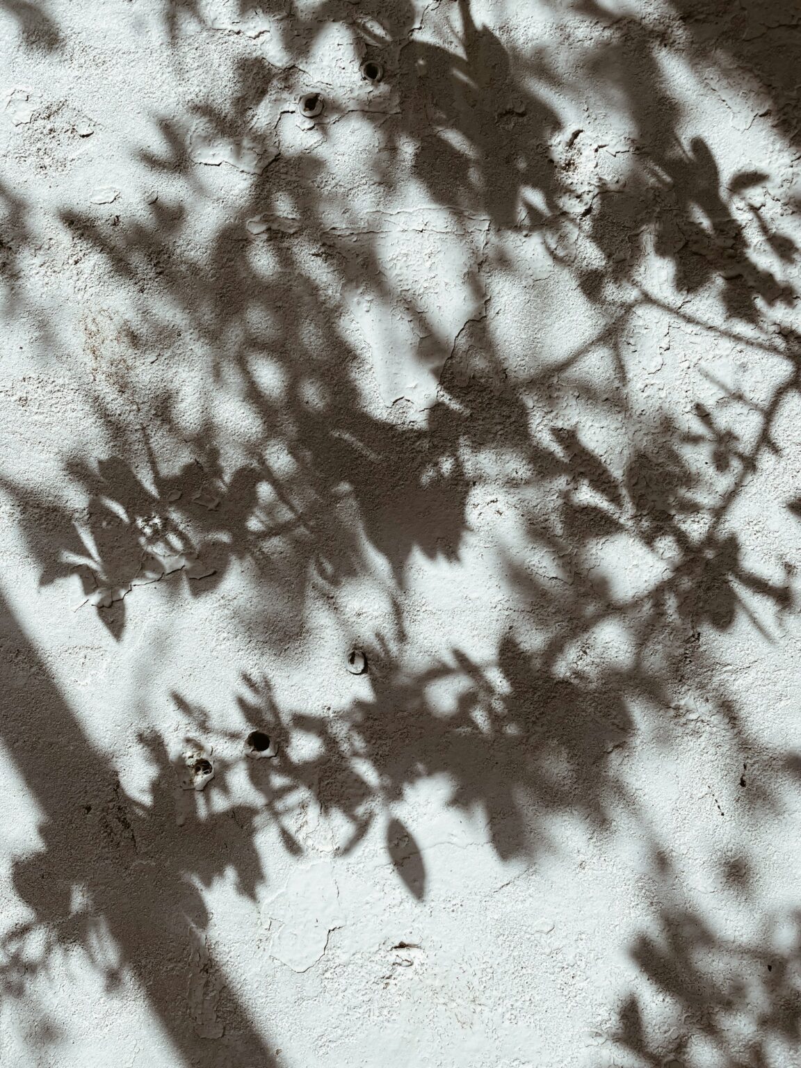 Be Inspired And Embrace Shadows With These Dramatic Looking Shots ...