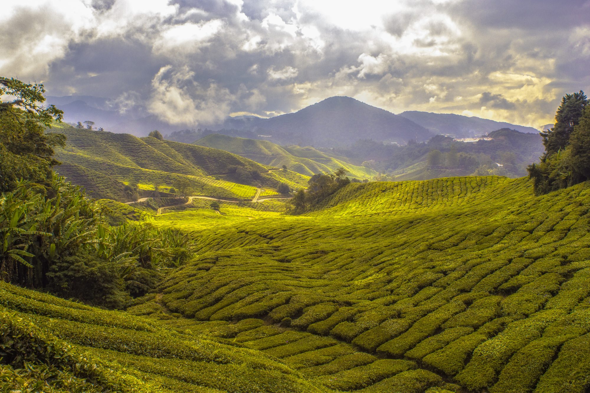 21 Vibrant Landscape Photographs of Valleys | Light Stalking