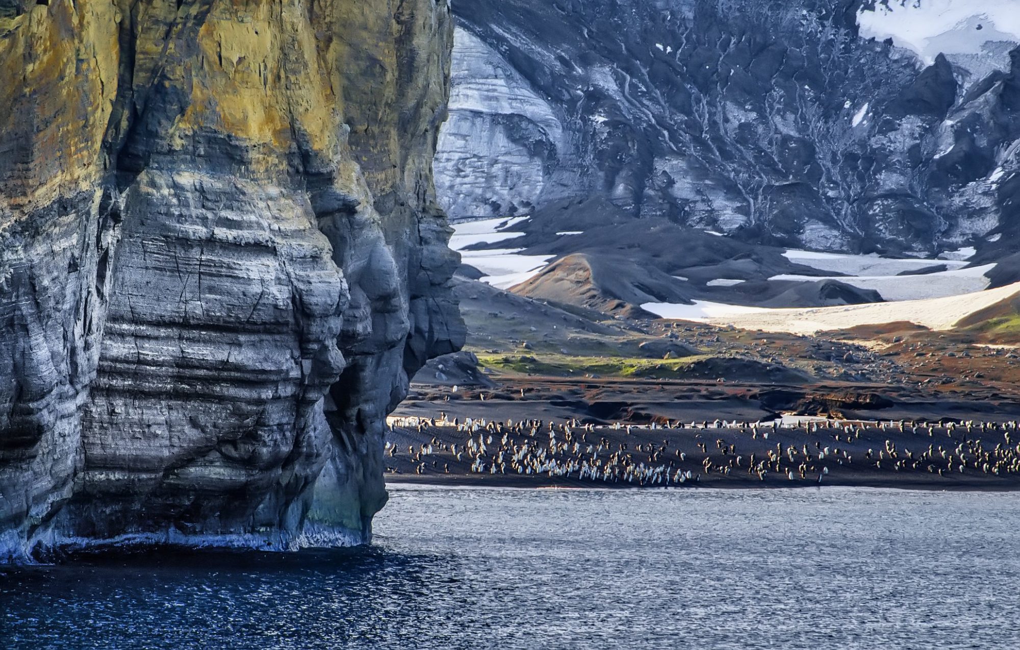 28 Cute and Beautiful Photographs of Penguins | Light Stalking