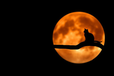 How to Photograph The Moon (With 10 Great Examples)