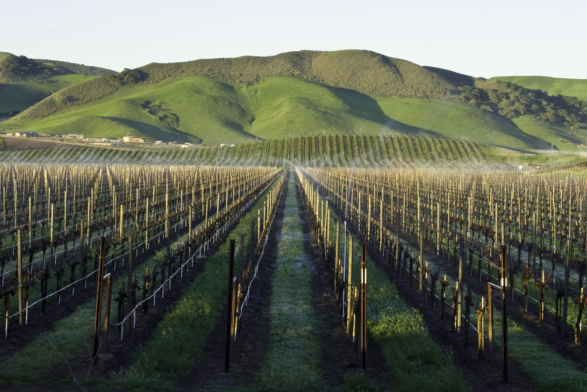 19 Glorious Photographs from Vineyards | Light Stalking